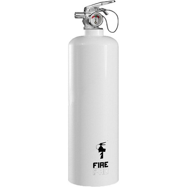 ¿Para qué sirve el extintor blanco, cuándo se utiliza y qué tipos de ...